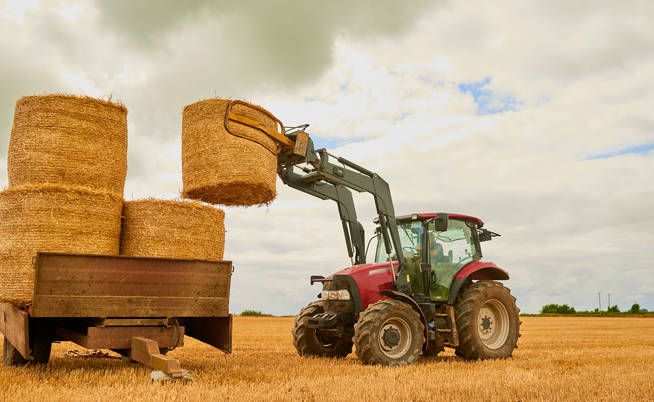 Wheeled Loading Shovel - SB Skills Solutions
